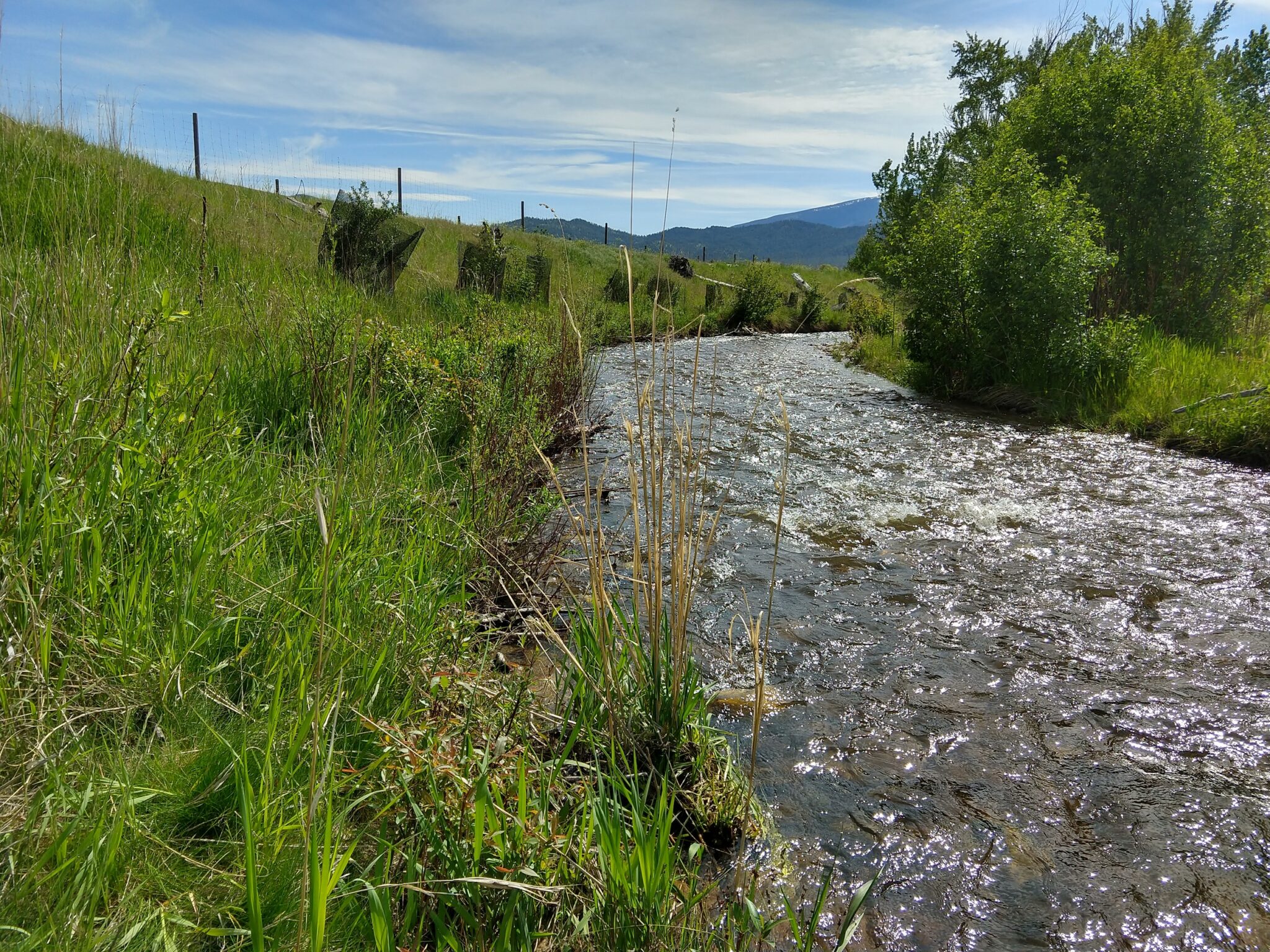 Stream Flow & Irrigation Resources - Bitterroot Water Partnership
